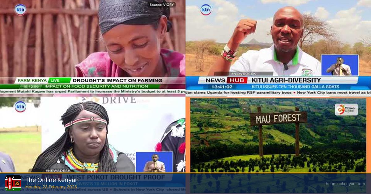 Drought Crisis and Food Insecurity in Kenya - February 2026